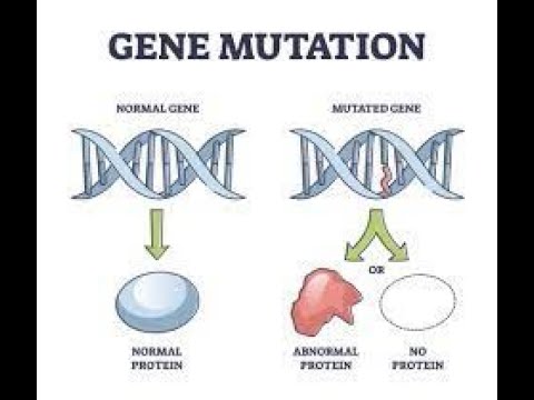 Adventurous Kids: Genetic Mutations - YouTube