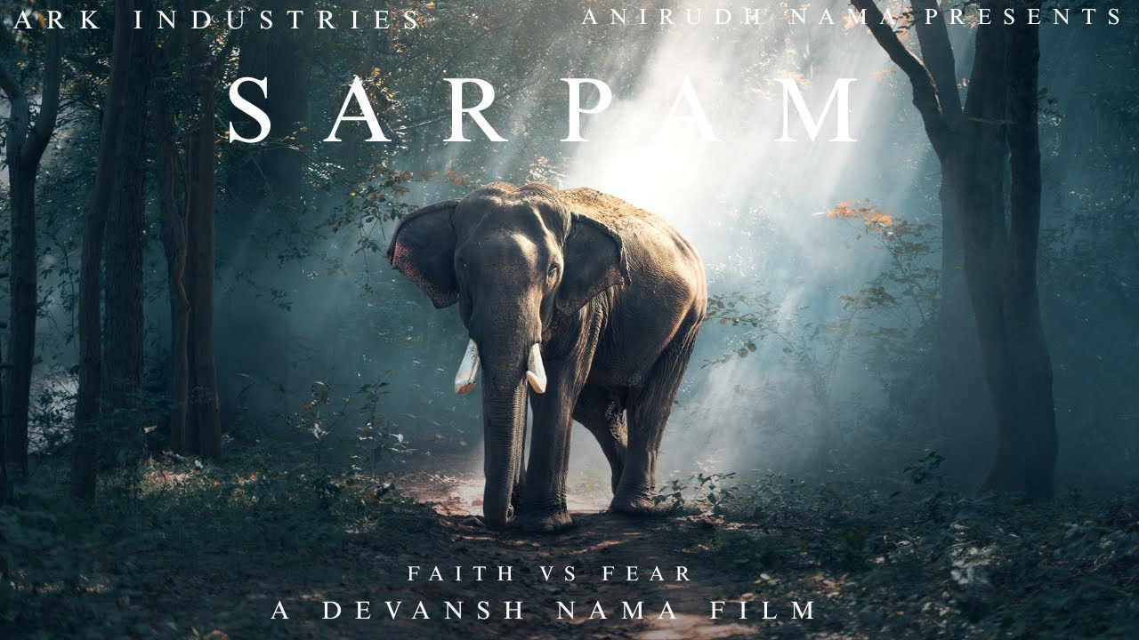 SARPAM GLIMPSE - YouTube