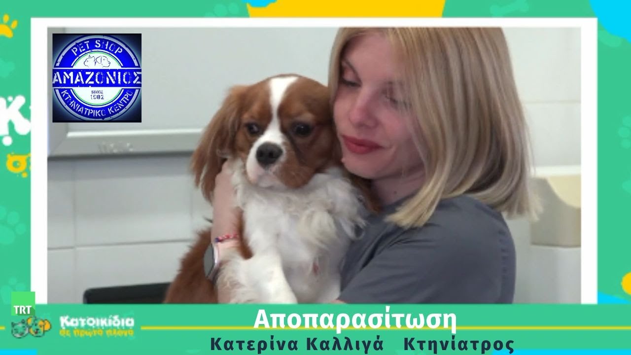 " Αποπαρασίτωση στα κατοικίδια ζώα" Κατερίνα Καλλιγά Κτηνίατρος ...