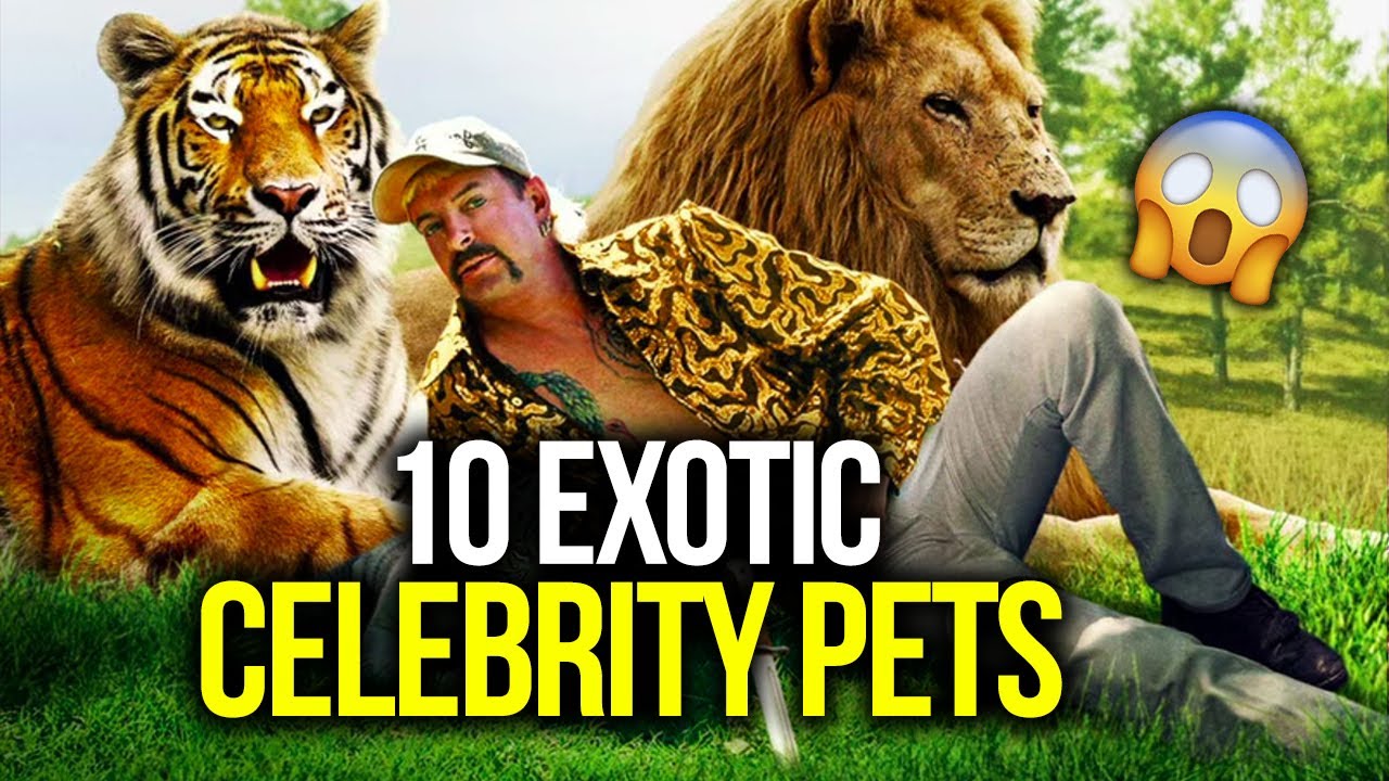 10 Most Exotic Celebrity Pets - YouTube
