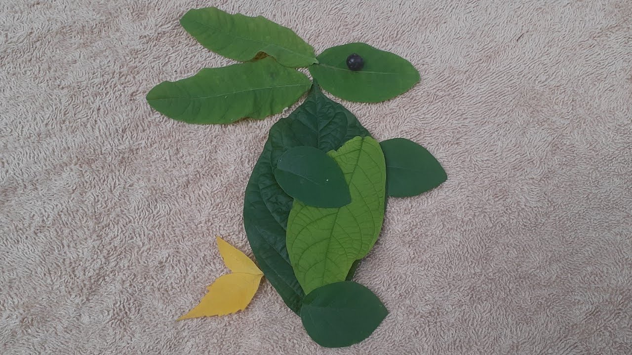 Green Rabbit - Leaf Art - YouTube