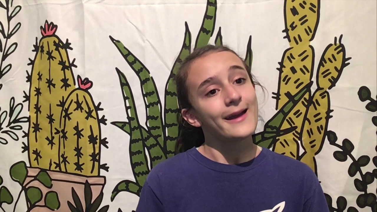 Female vs Male Roly-poly - YouTube