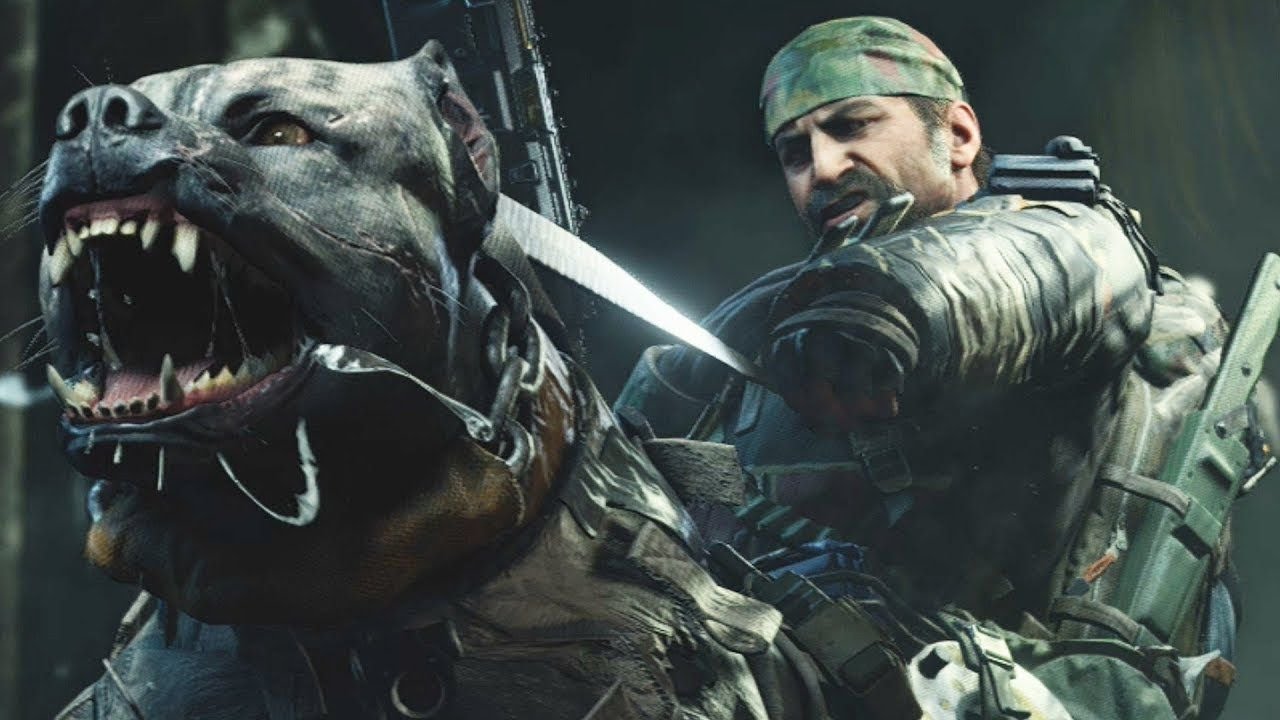Call of Duty Bo4 : My Dog Did Work! - YouTube