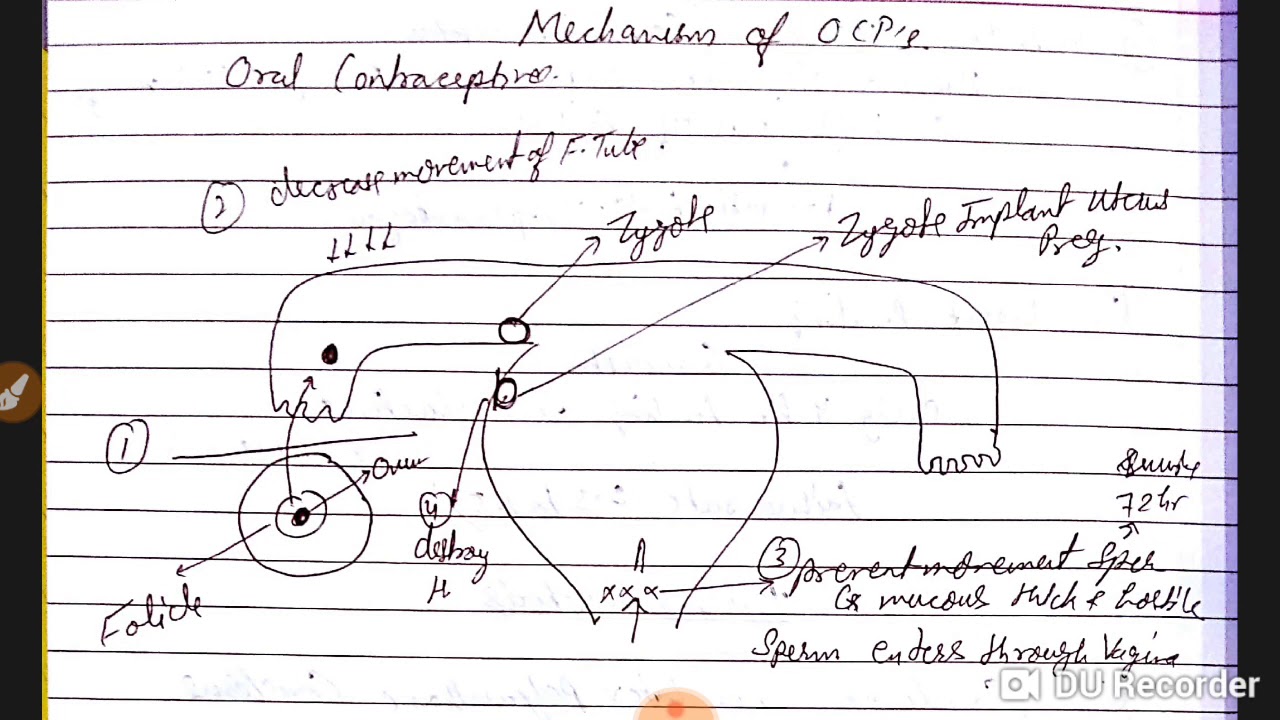 Mechanism of OCP story - YouTube