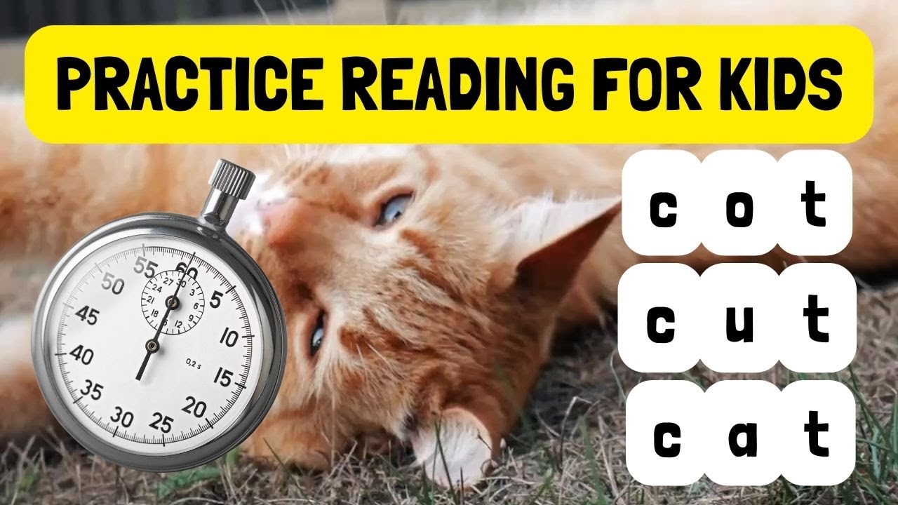 Practice Reading For Kids | Reading Practice for 3-Letter Words ...
