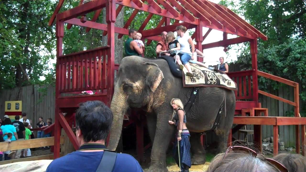 Ren-Fest Elephant Ride - YouTube