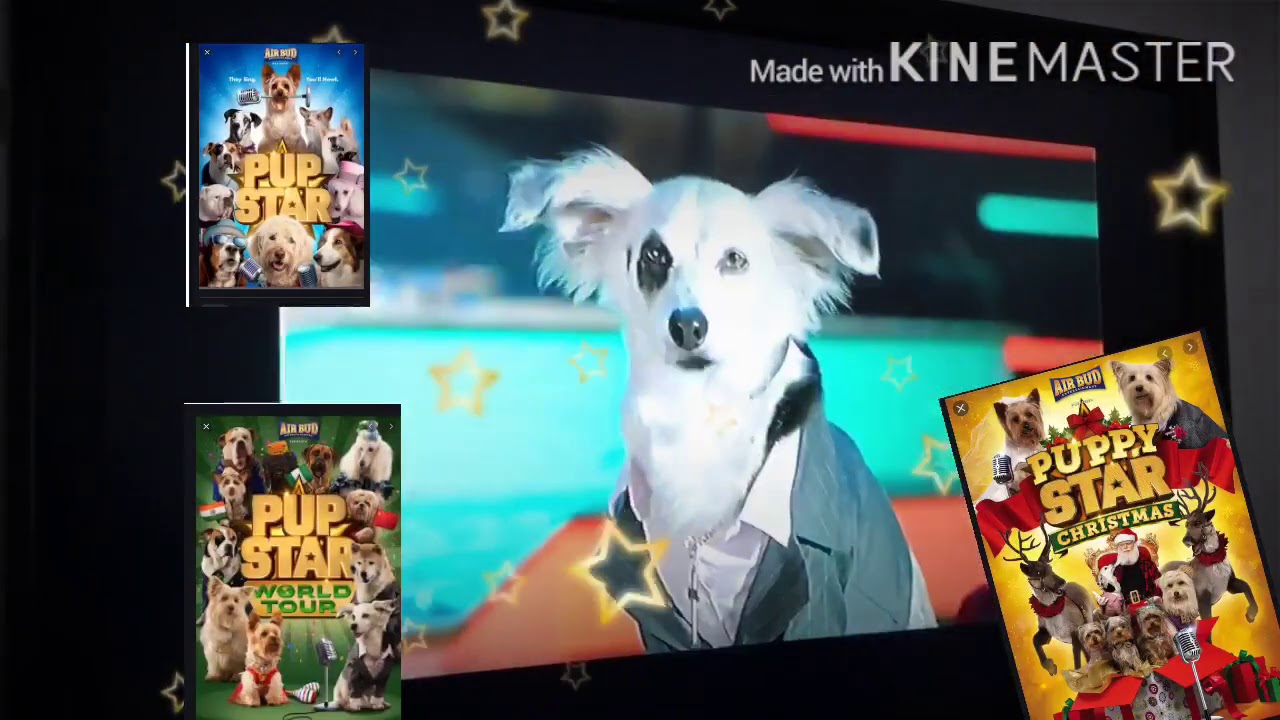 Júlio pup star tell me cuando - YouTube