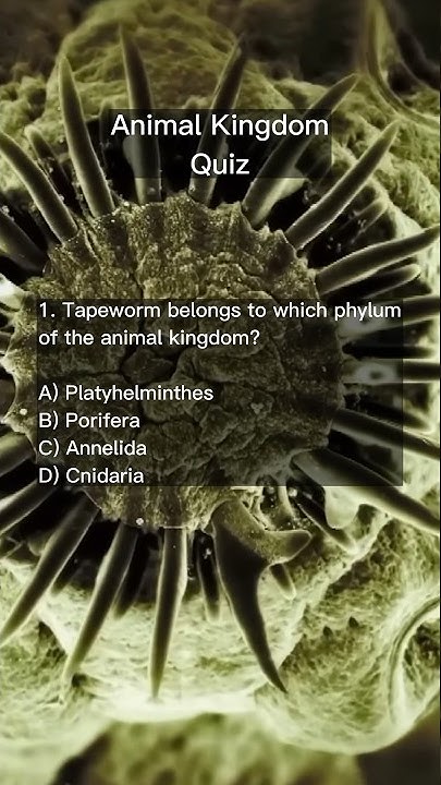 Animal Kingdom Quiz #quiz #education #trivia #science #biology - YouTube