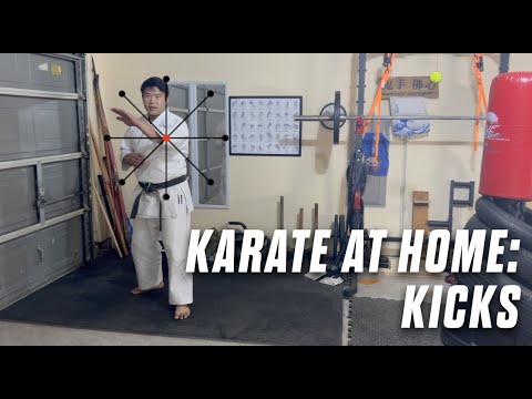Train Karate At Home 7: Conceptual Approach to Karate Kicks #karate # ...