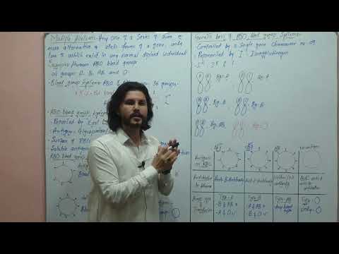 Multiple Alleles | Multiple Alleles| Genetics | Inheritance| Urdu/Hindi lecture 5 - YouTube