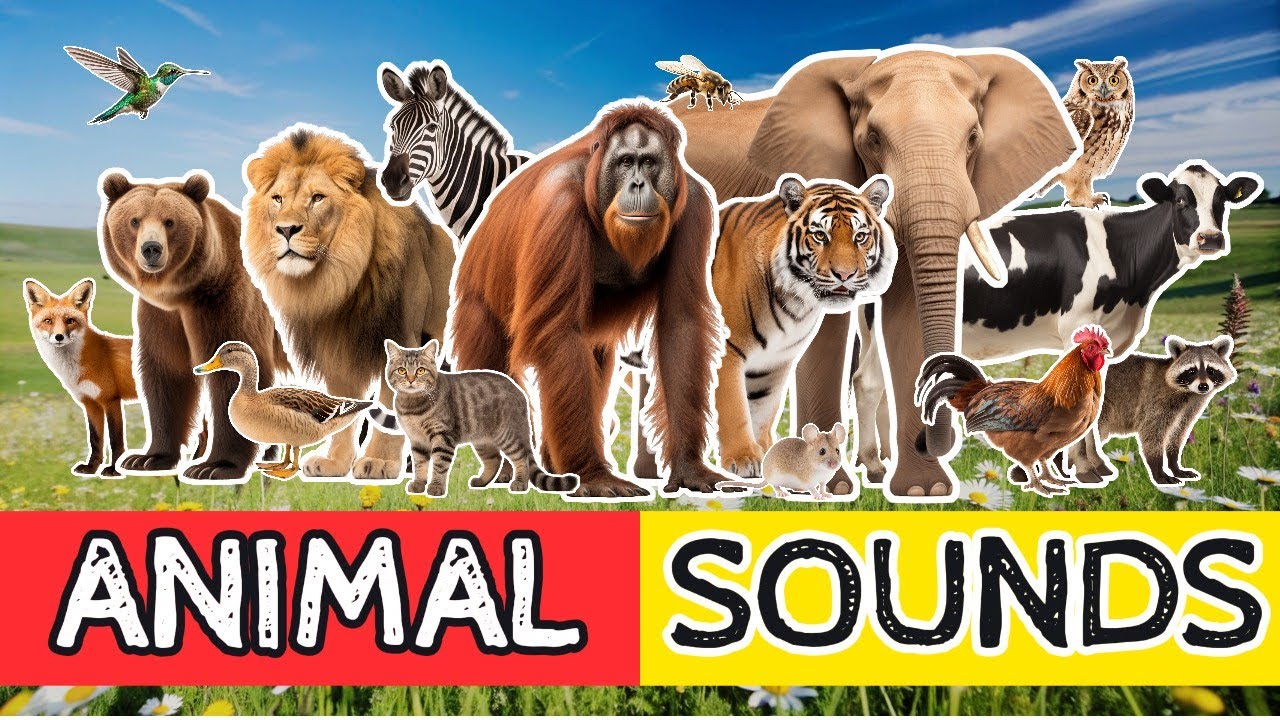 Animal Sounds for Kids 🎶 | Relaxing Farm & Country Animals Compilation ...