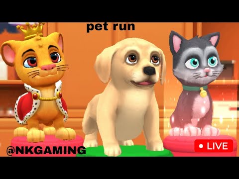 Pet Run Game | Dog 🐕 Run Game | Pet Run iOS/Android Gameplay - YouTube