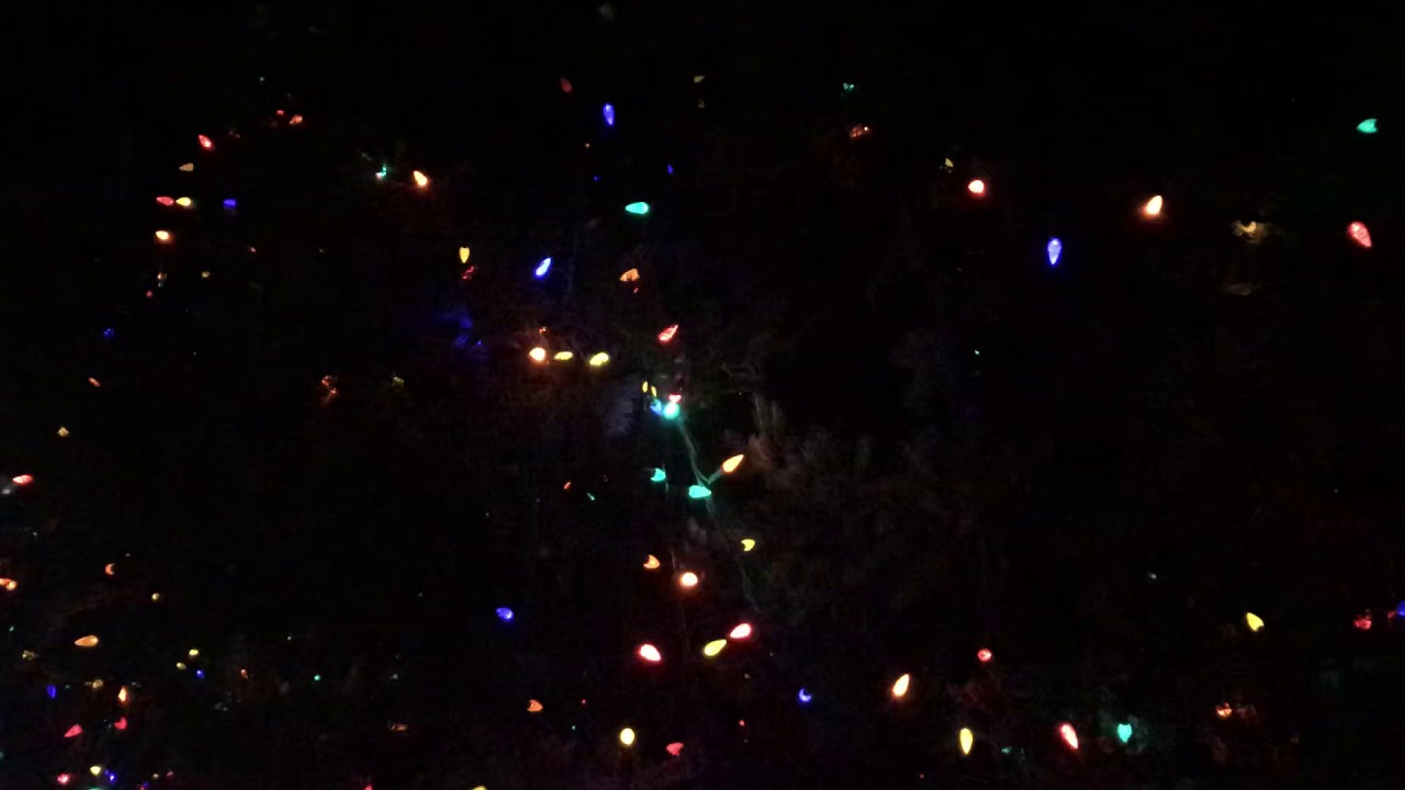 Tree lighting countdown - YouTube