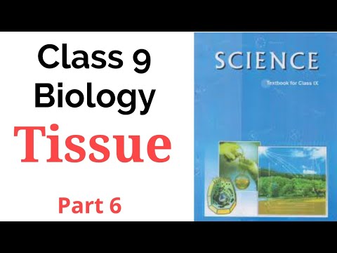 Complex Permanent Tissue | Class 9 | Tissue | NCERT Science - YouTube