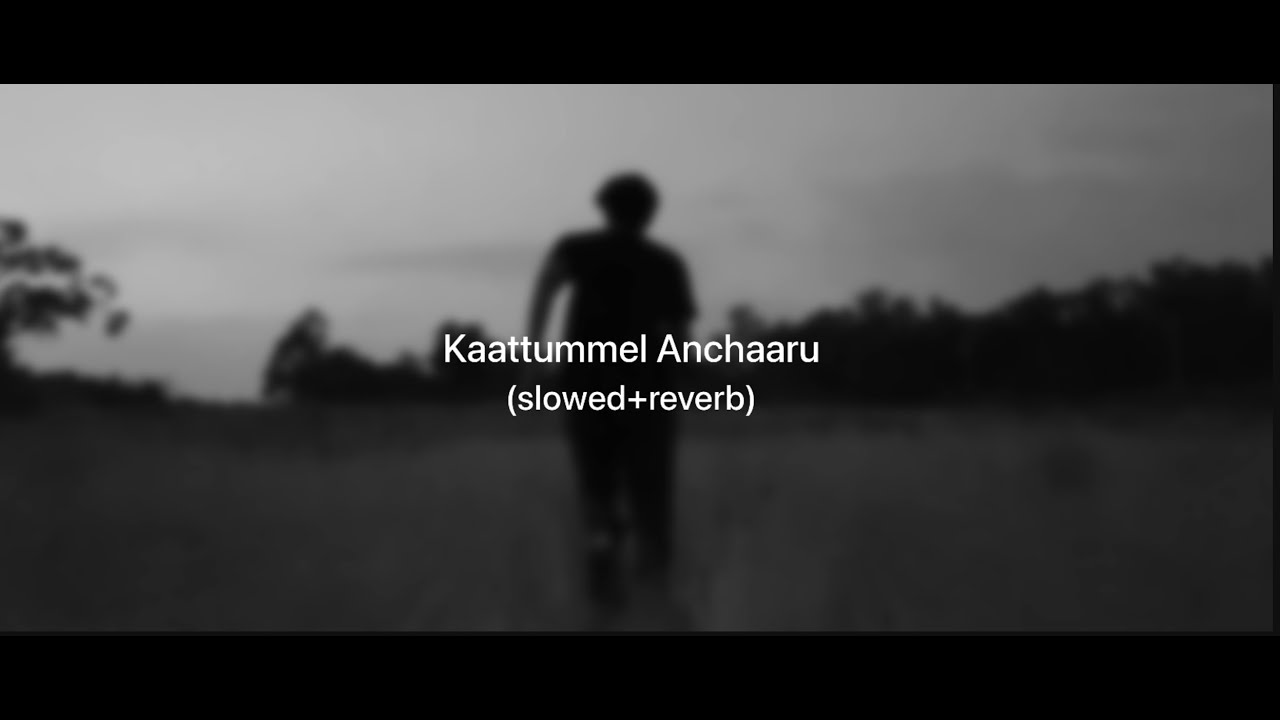Kaattummel Anchaaru(slowed+reverb)|Salt Mango Tree| - YouTube