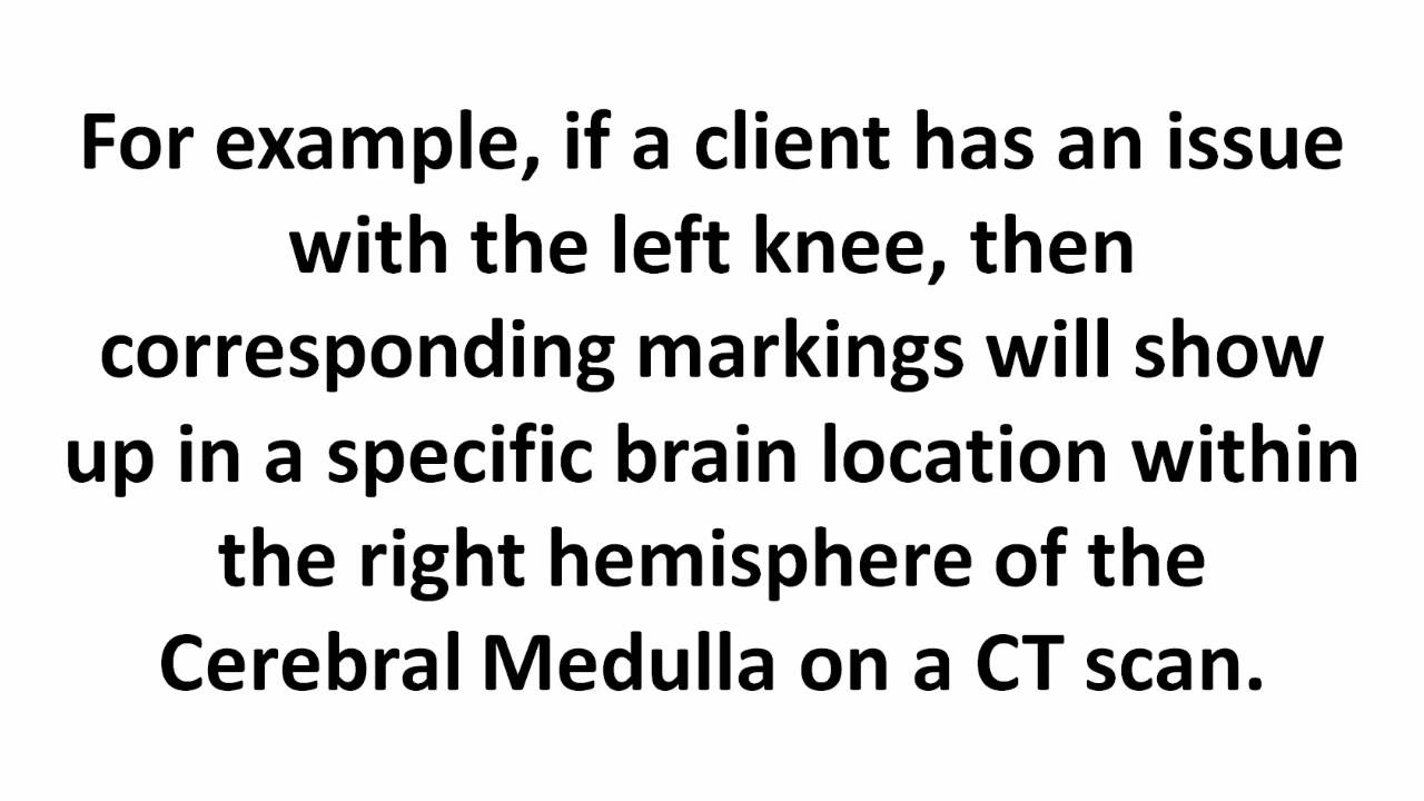 What is META Health Part 2 - The Core Principles - YouTube