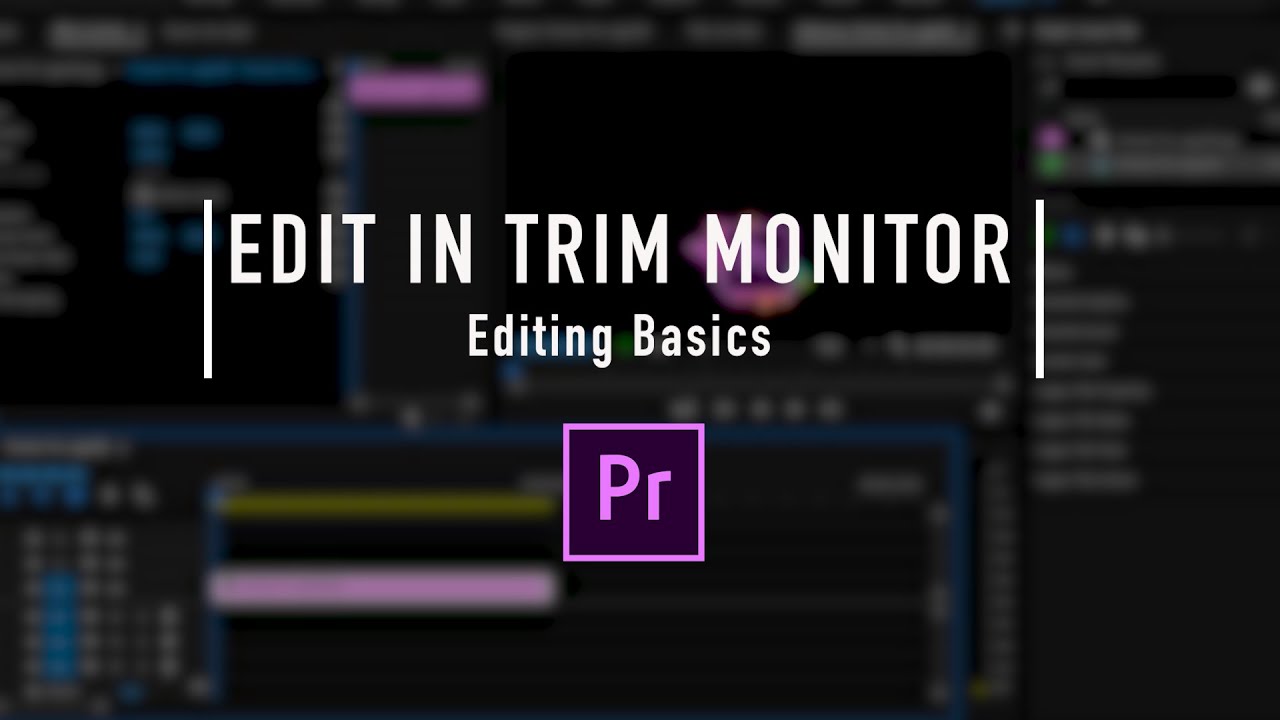 Editing in the Programme Monitor Premiere | Trim Monitor | Tutorial ...