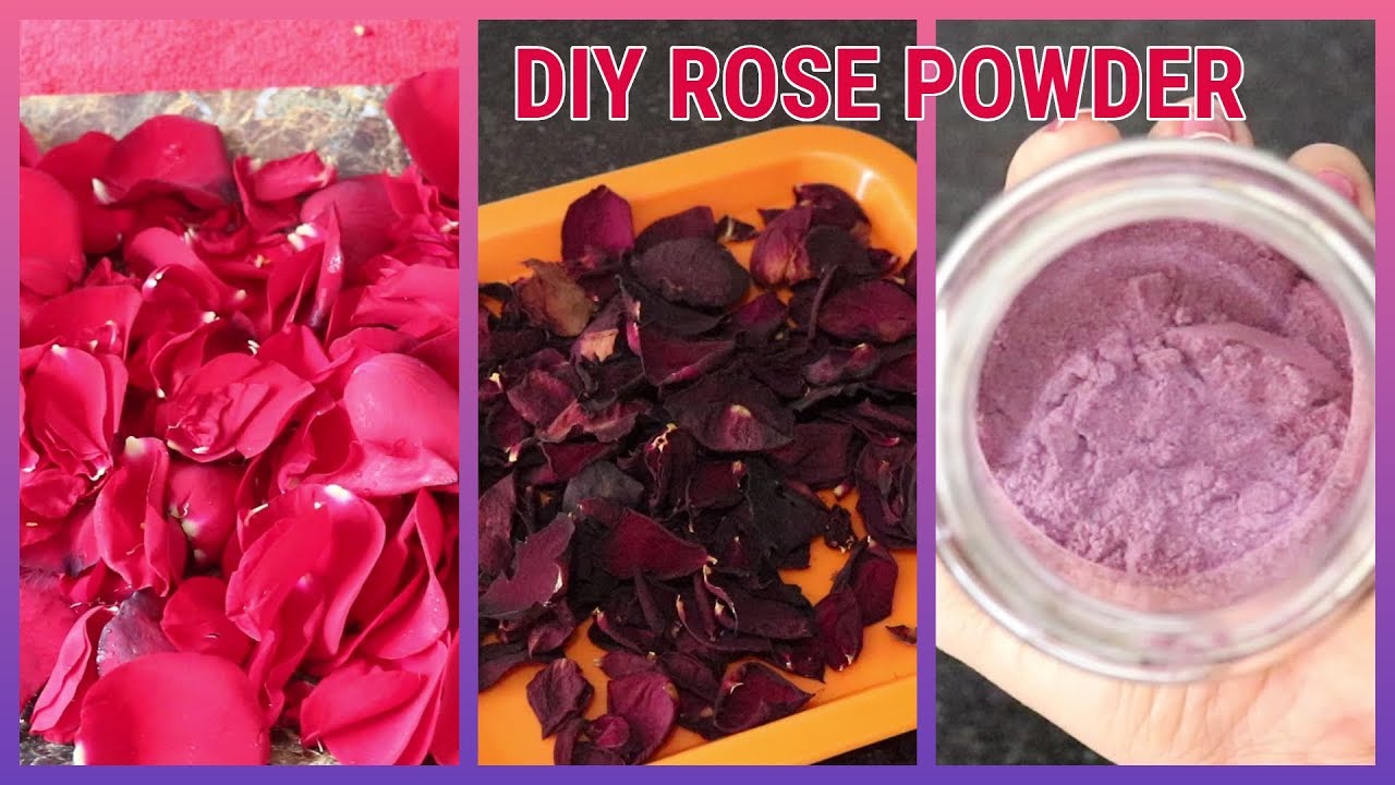 Homemade Rose Powder | How to Make Rose Powder at Home | DIY/Homemade ...