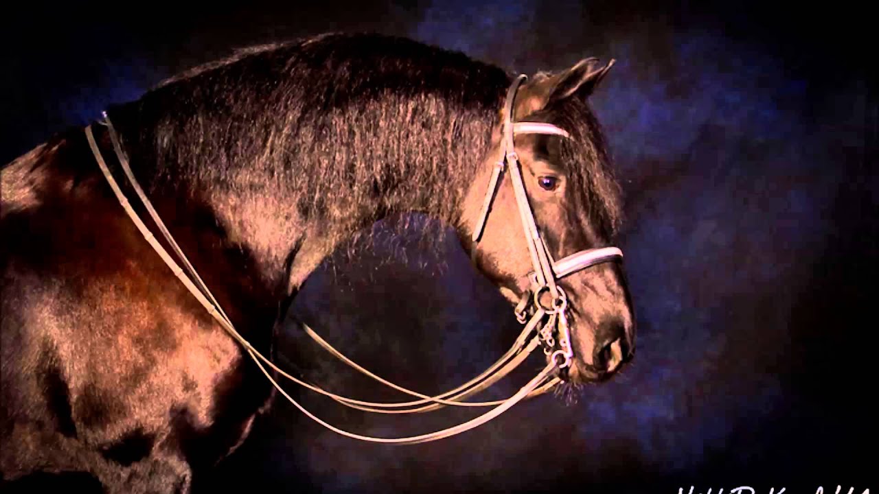 thuilke film nikki de kerf fotografie - YouTube