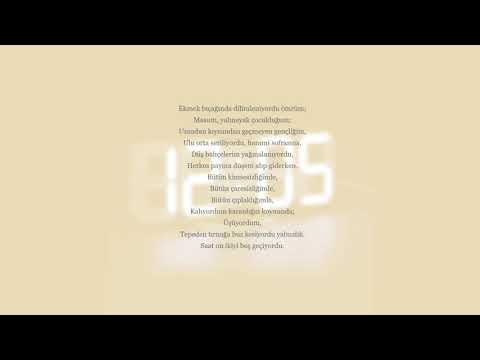 ✨Şiir Müzesi✨ SAAT 12Yİ 5 GEÇİYORDU Serkan UÇAR