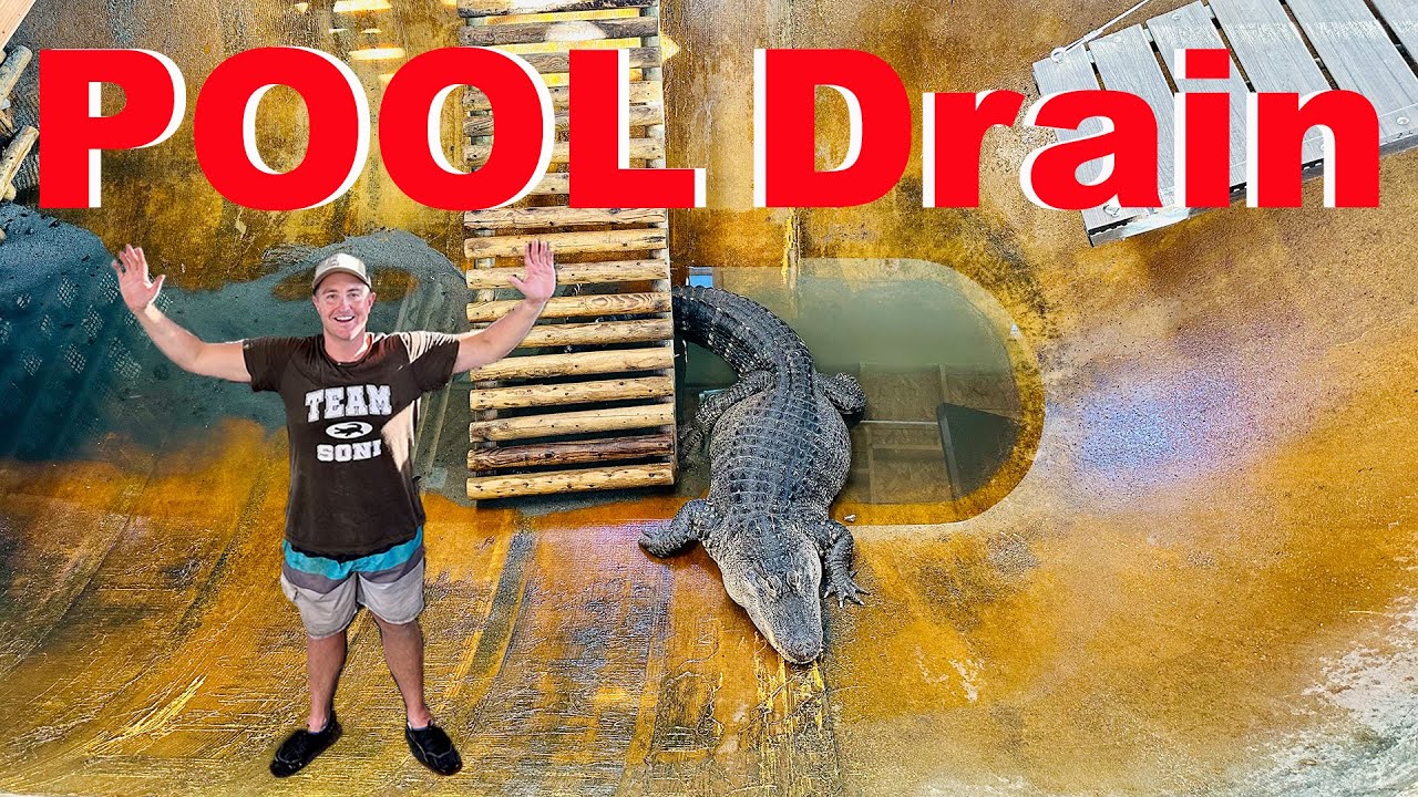Alligator Pool FULL Drain! - YouTube