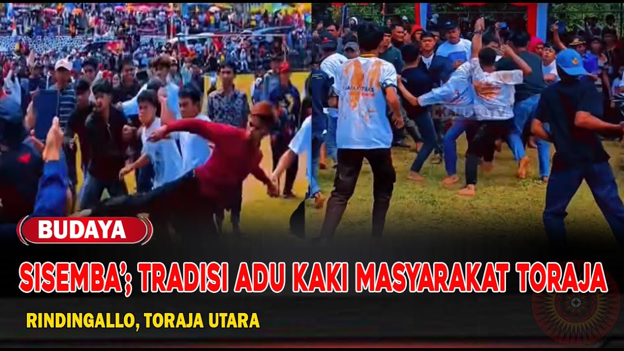 SISEMBA'; TRADISI KETANGKASAN ADU KAKI MASYARAKAT TORAJA - YouTube