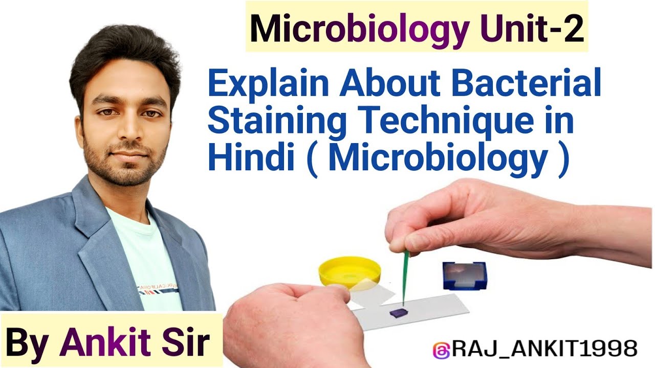 Part -6 || Staining technque || Purpose of staining || Types Of ...