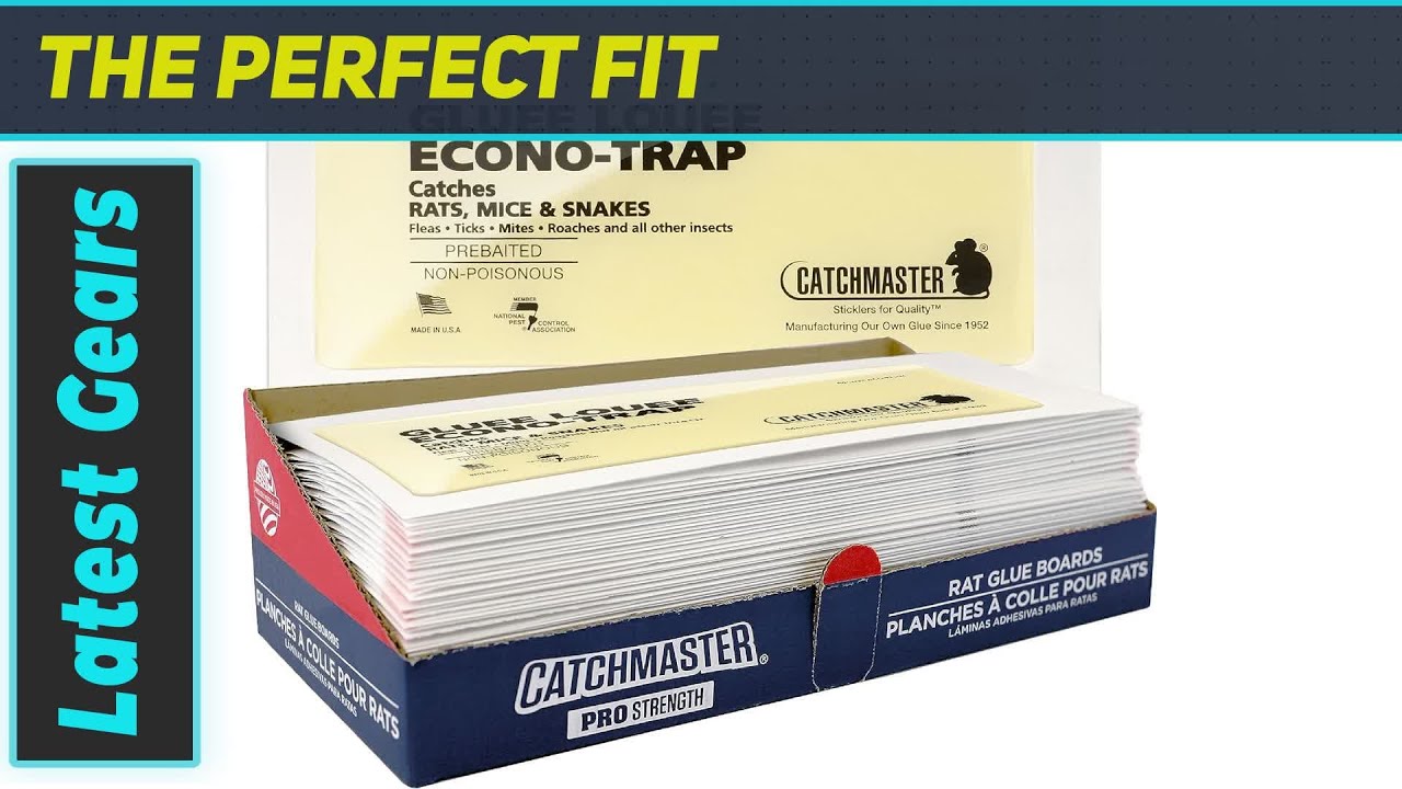 Catchmaster Gluee Louee: Ultimate Rat Trap Test! - YouTube