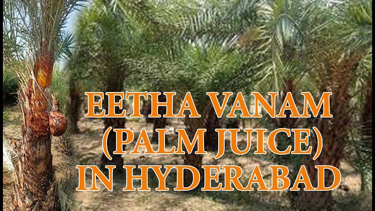 EETHA VANAM NEAR HYDERABAD FOR PURE EETHA KALLU - YouTube