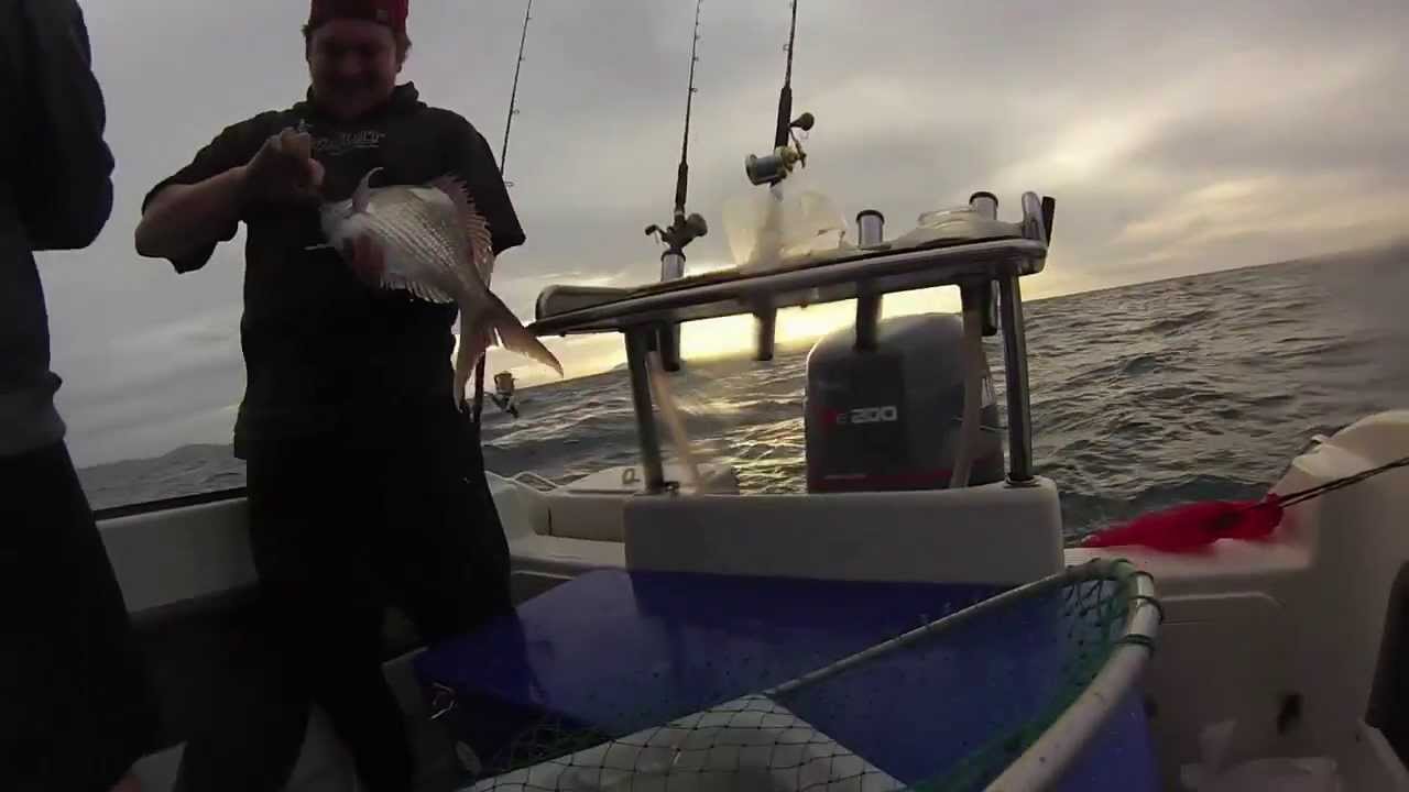 Fishing New Zealand. Netting Snapper - YouTube