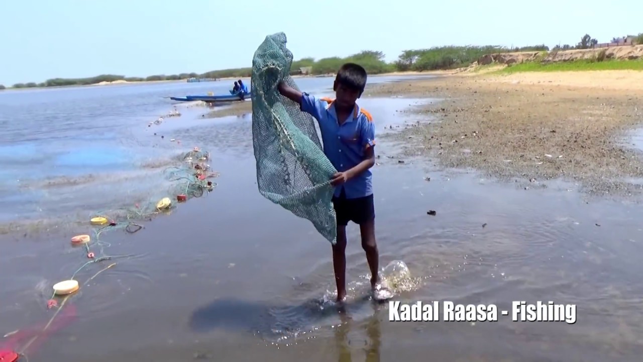 Incredible Net Fishing from River | Processing Fisherman Boys handling ...