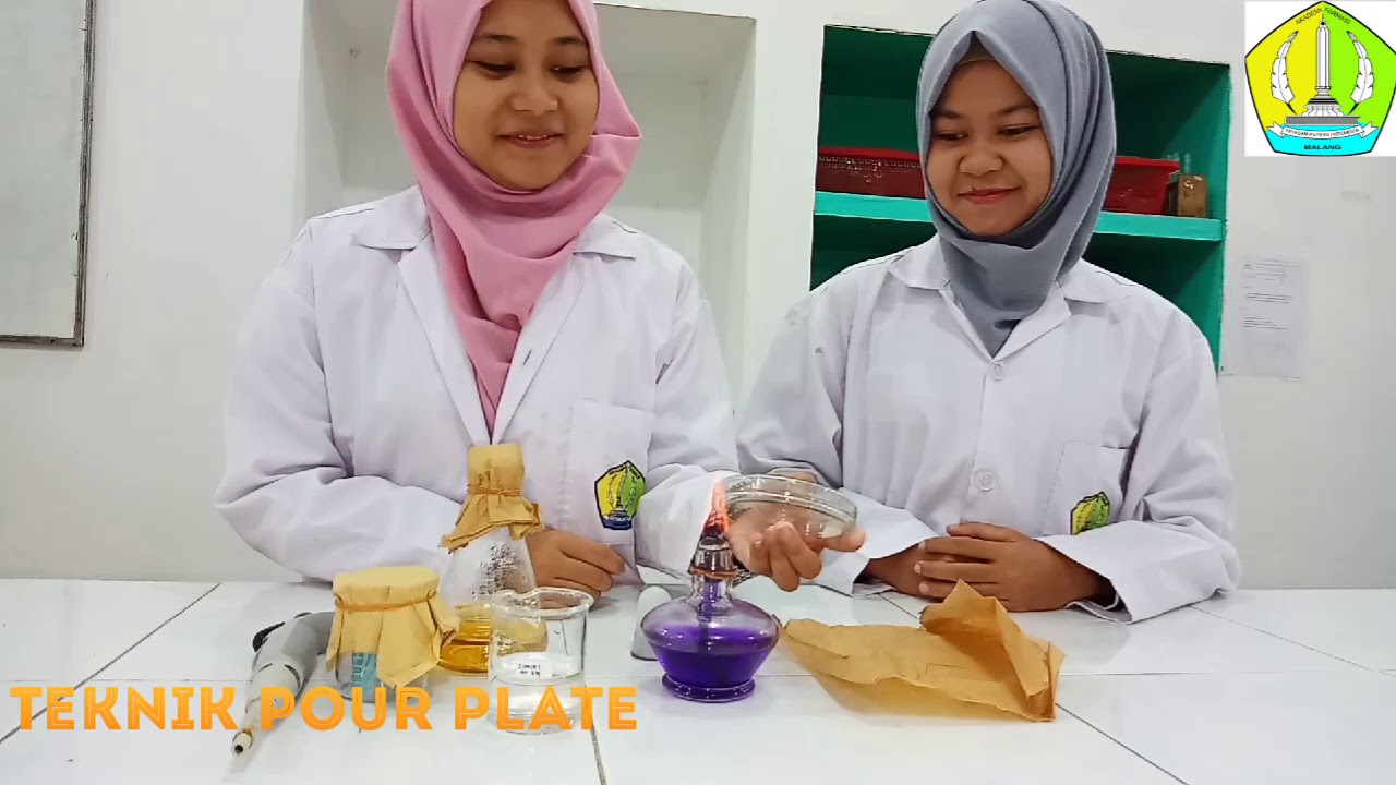 Teknik Pembiakan Bakteri Menggunakan Metode Pour Plate (Tuang) - YouTube