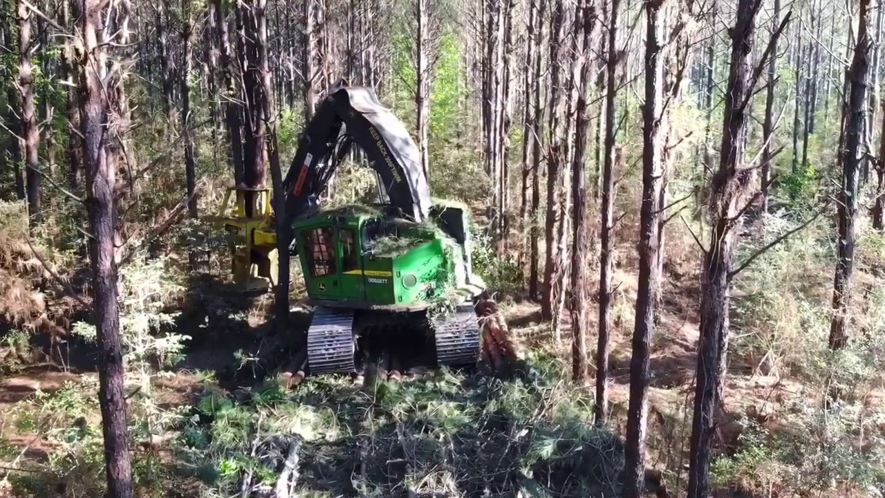 John Deere 853M Track Feller Buncher First Thinning Pine - YouTube