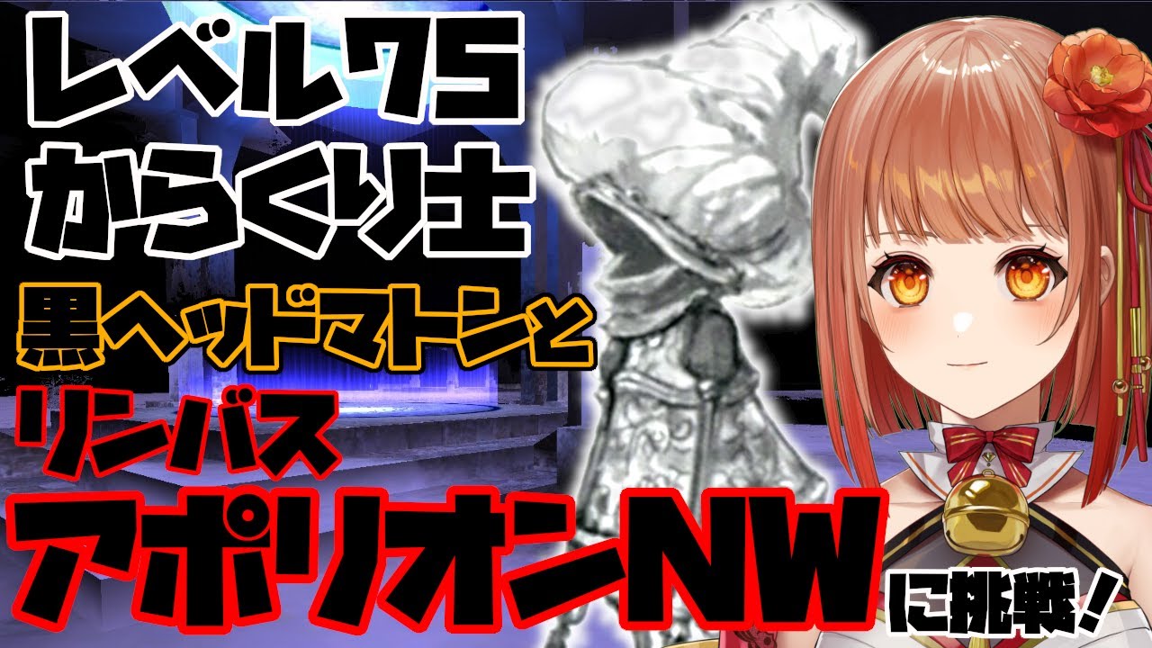 【初見FF11】2度目のアポリオンNWへ！黒マトン VS Kaiser Behemoth！！【からくりソロ】 - YouTube