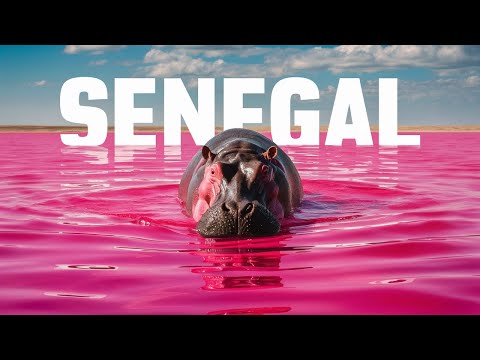 Senegal Explained in 10 Minutes (History, Geography, & Culture)