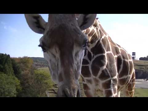 近すぎて、あなたが見えない