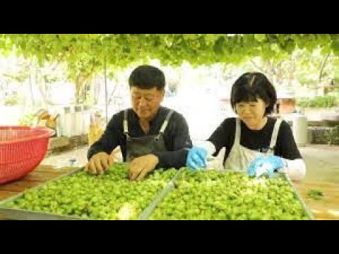 [한글자막]A TRUE Korean beer using Gunsan Malt and K-Hops - YouTube