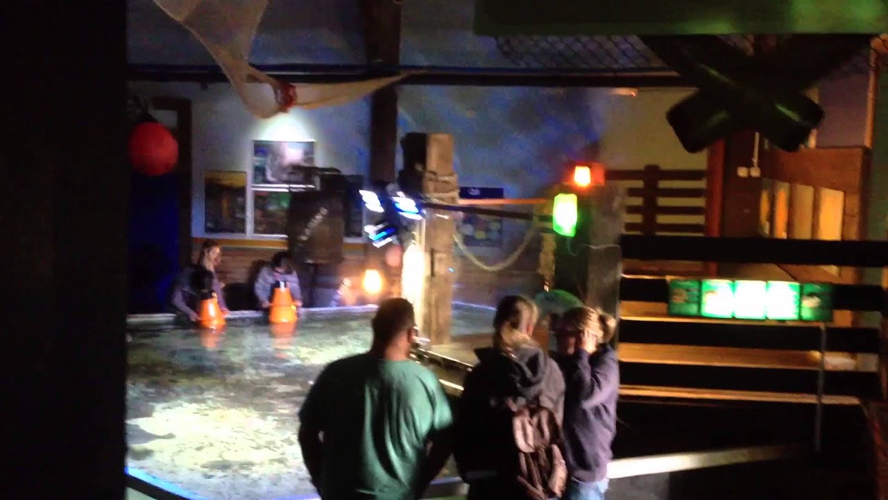 The Scottish SEA LIFE Sanctuary Oban AreaView-2014 - YouTube