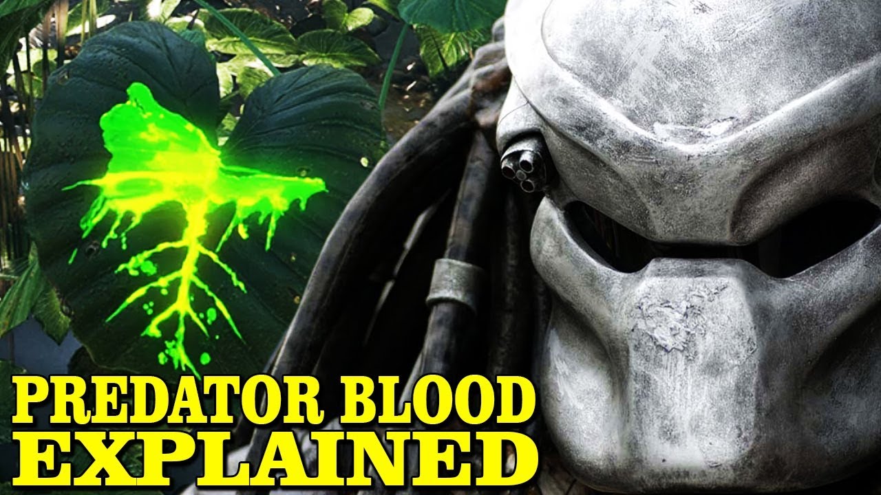 PREDATOR: BLOOD EXPLAINED - WHY DOES IT GLOW GREEN? FACTS ABOUT YAUTJA ...
