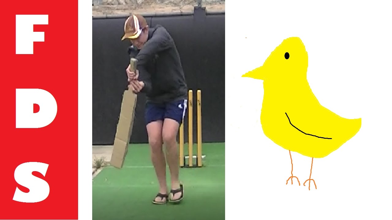 CARDBOARD CRICKET BAT | FDS - YouTube