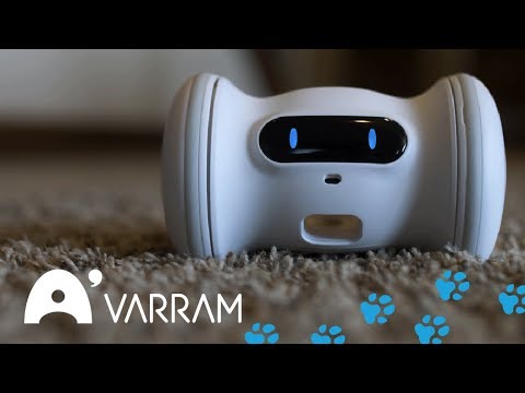 Funded Today Presents 🎬 VARRAM Pet Fitness Robot - YouTube
