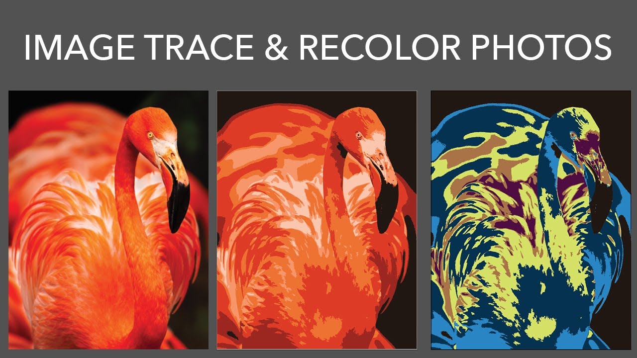 Adobe Illustrator Image Trace A Photo And Recolor It YouTube adobe-illustrator-image-trace-a-photo-and-recolor-it-youtube
