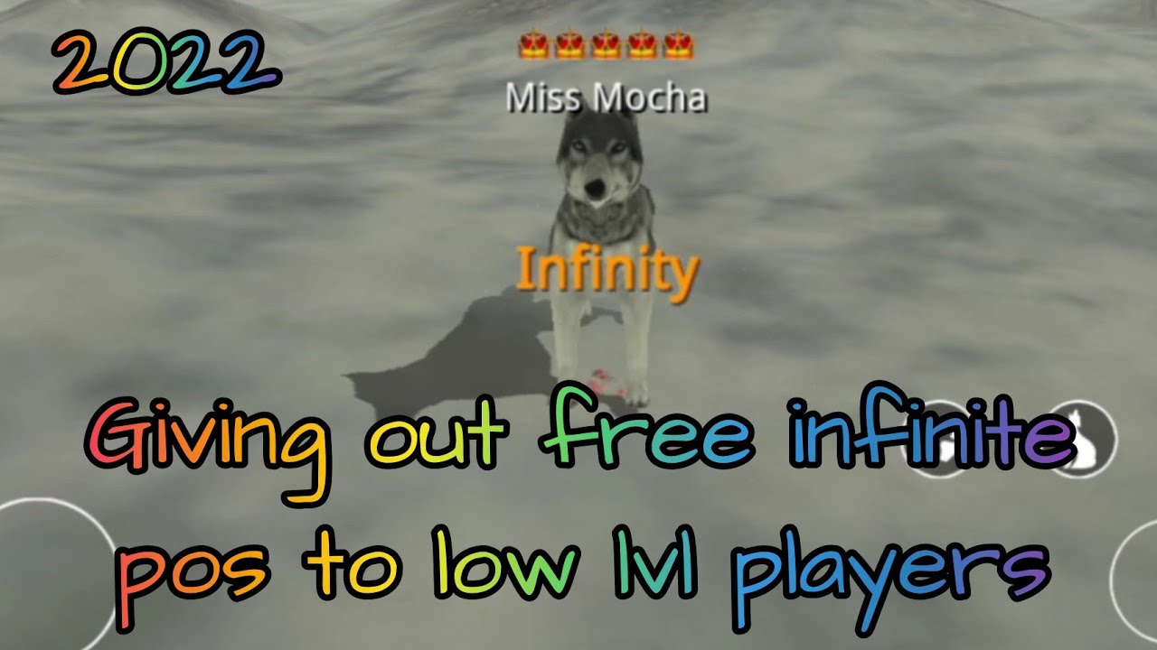Giving Infinite pos in Wolf Online 2022 - YouTube