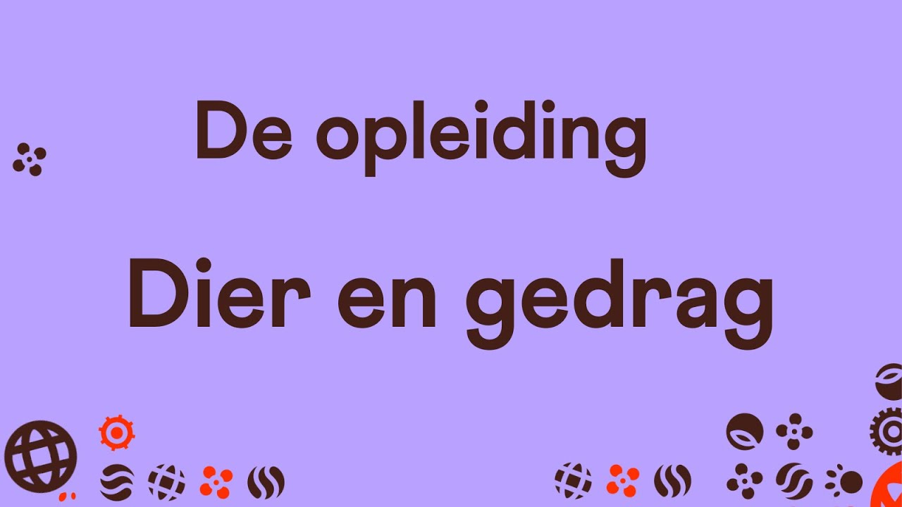 Studenten van Yuverta mbo Den Bosch vertellen over de opleiding Dier en ...