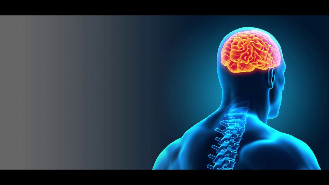 Timeless Wisdom Slavic Health System: Posture - YouTube