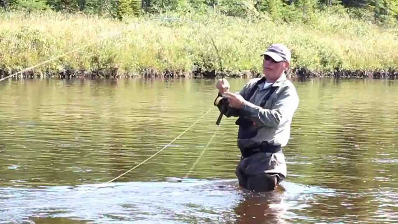 Sutton River Brook Trout - YouTube