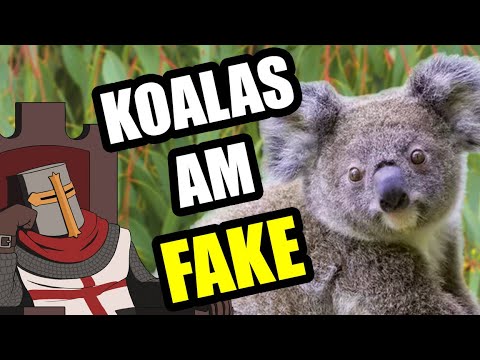 Koalas DO NOT Exist (Hans Wormhat) - YouTube