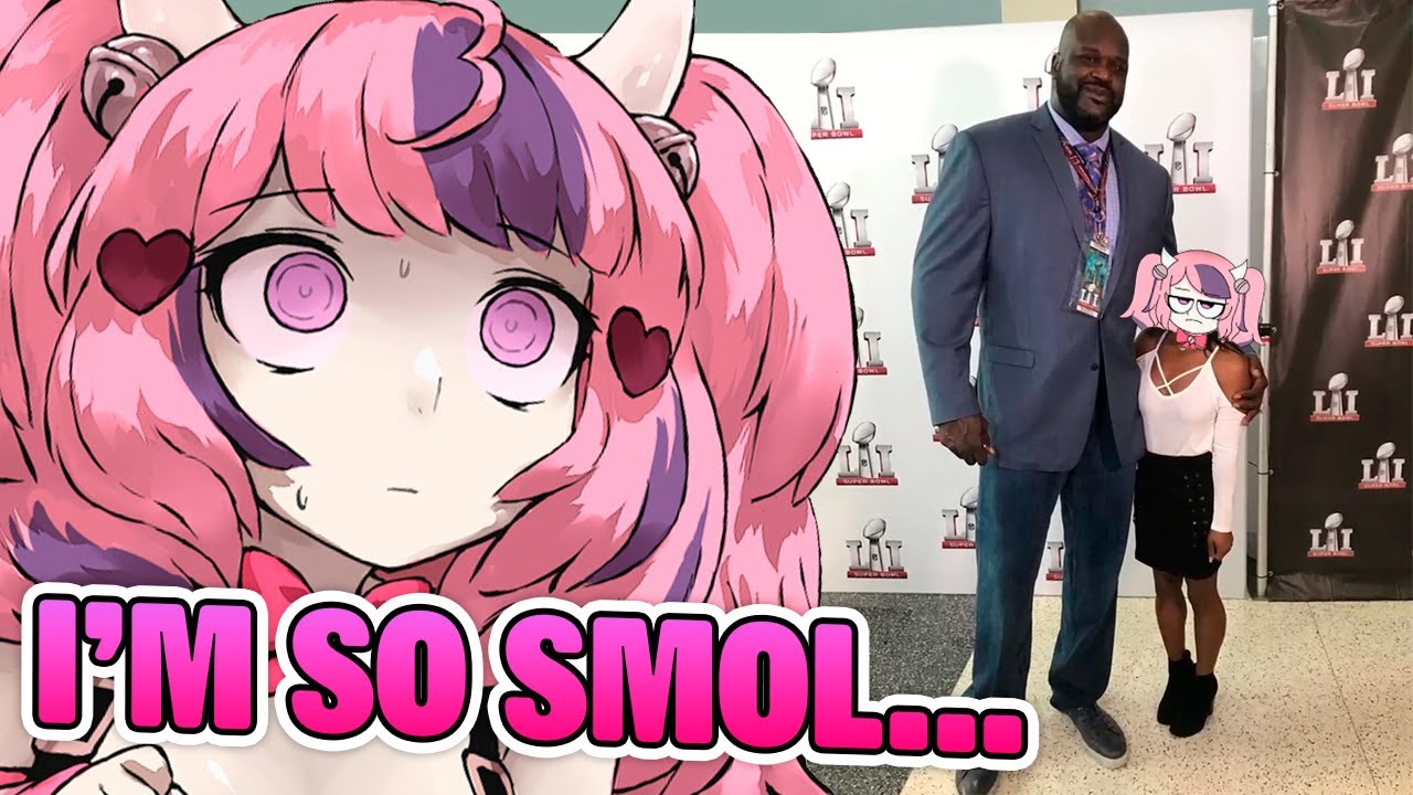 Ironmouse IRL be like - YouTube