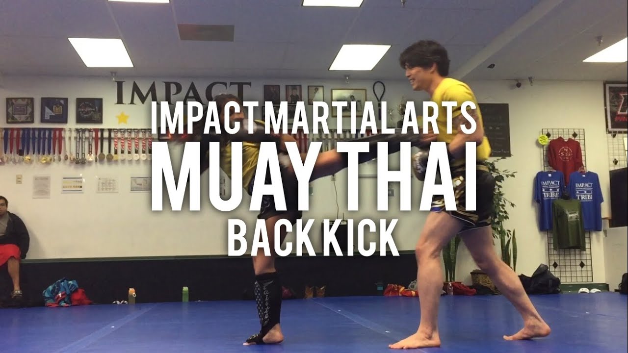Muay Thai Back Kick | Virginia Beach | Impact Martial Arts Academy ...
