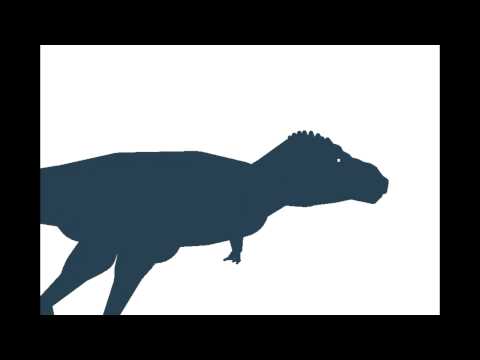 MFG round 4 tarbosaurs vs tarchia